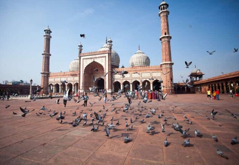 Delhi: Old and New Delhi Guided Full or Half-Day Tour - Deep Dive into the Monuments & Neighborhoods