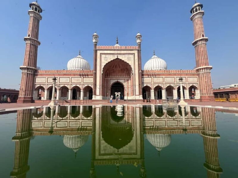 Delhi: Old and New Delhi Private Full or Half-Day Tour - A Detailed Look at What Makes This Tour Stand Out