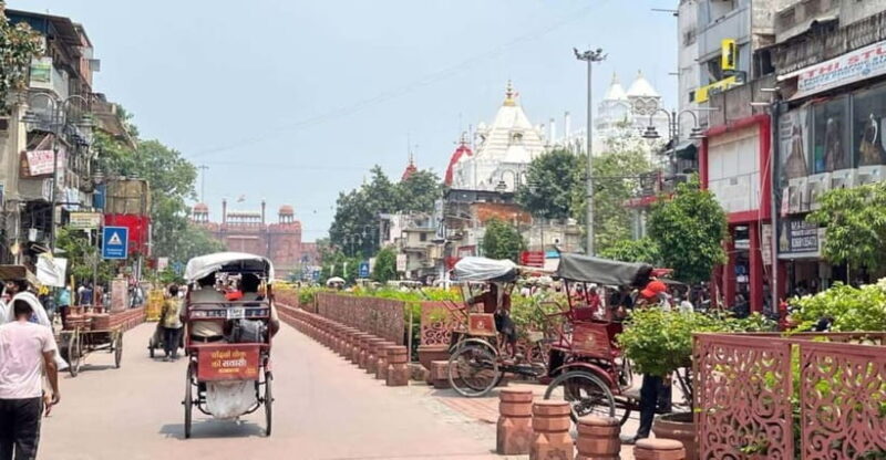 Delhi: Old Delhi City Tour with Tuk-Tuk Ride & Street Food - The Practicalities: What You’ll Love and What to Consider