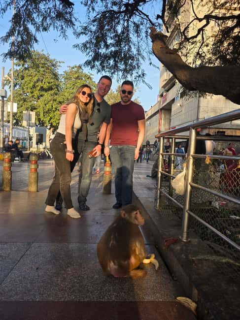 Delhi: Old Delhi & New Delhi Full & Half Day Private Tour - FAQ