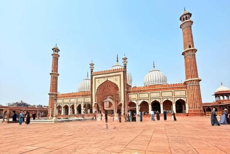 Delhi: Old & New Delhi Private Guided Full or Half-Day Tour - Exploring Delhi: A Balanced Look at the Old & New