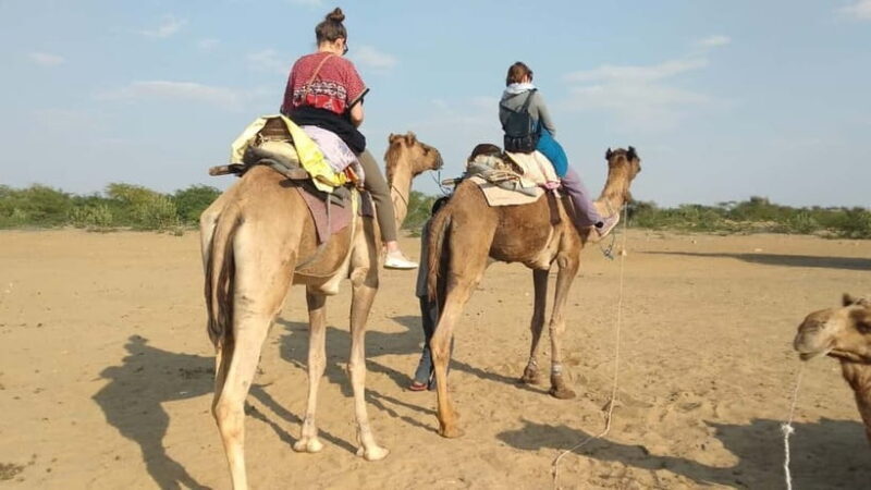 Delhi : One Day Sightseeing Tour - Key Points