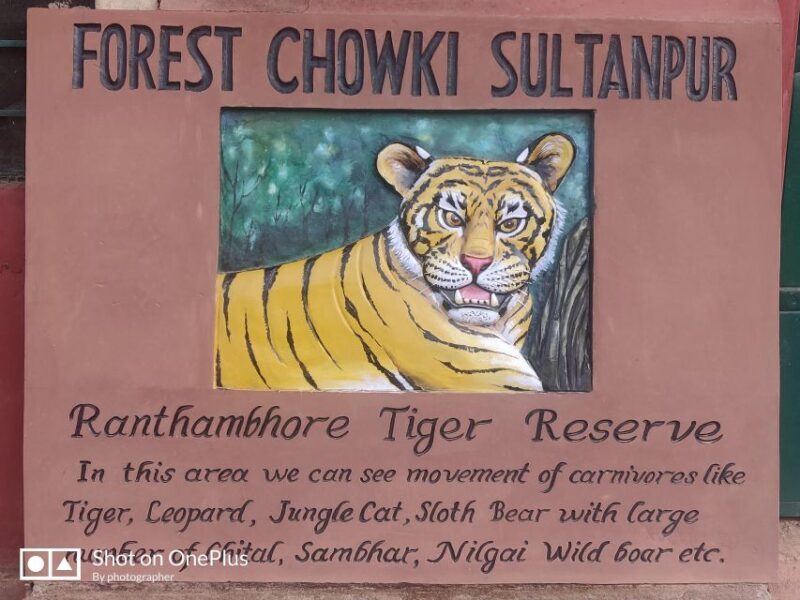 Delhi: Private 3-Days Jaipur & Ranthambore Tiger Safari Tour - An Overview of the Tour: What to Expect