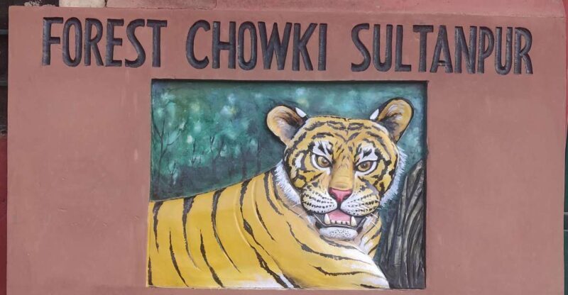 Delhi: Private 3-Days Jaipur & Ranthambore Tiger Safari Tour - What Makes This Tour Stand Out