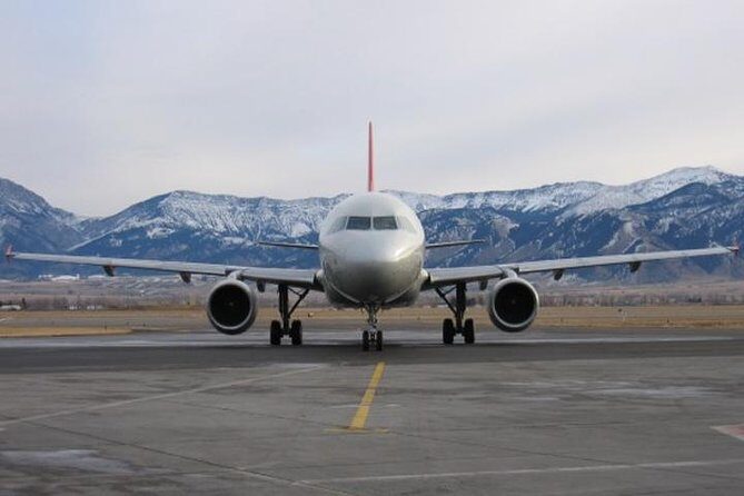 Delhi Private Arrival Transfer: Airport to Hotel in Delhi - The Itinerary Details