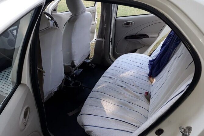 Delhi: Private Car Charter with Professional Driver - Who Is This Tour Best For?