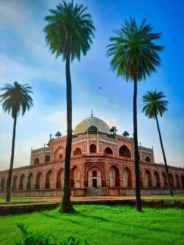 Delhi: Private Full-Day City Tour Old & New Delhi Experience - Real Traveler Experiences