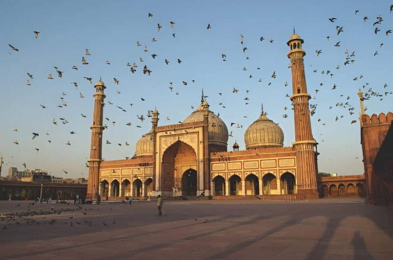 Delhi: Private Full-Day Tour of Old & New Delhi - Key Points