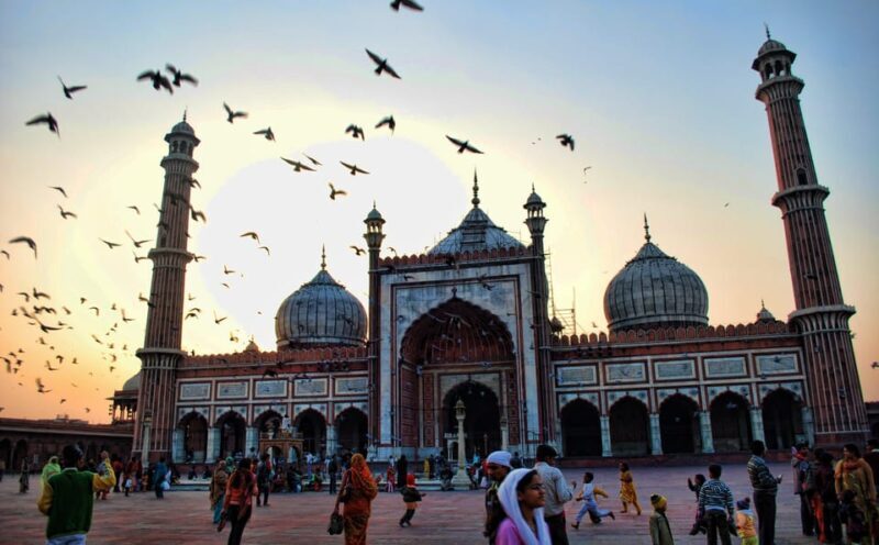Delhi Private Guided City Tour: Old and New Delhi City - Who is This Tour Best For?