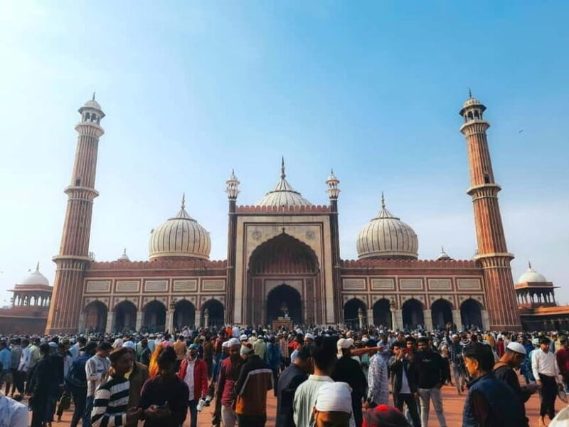 Delhi: Private Old & New Delhi Tour  Full or Half Day - An Introduction to Delhi’s Dynamic Contrast