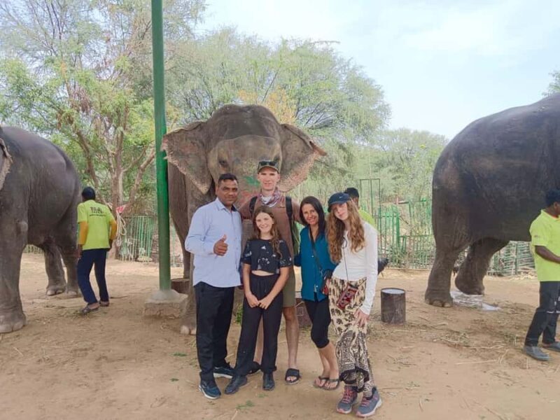 Delhi : Private Taj Mahal with Elephant Sanctuary Tours - Key Points