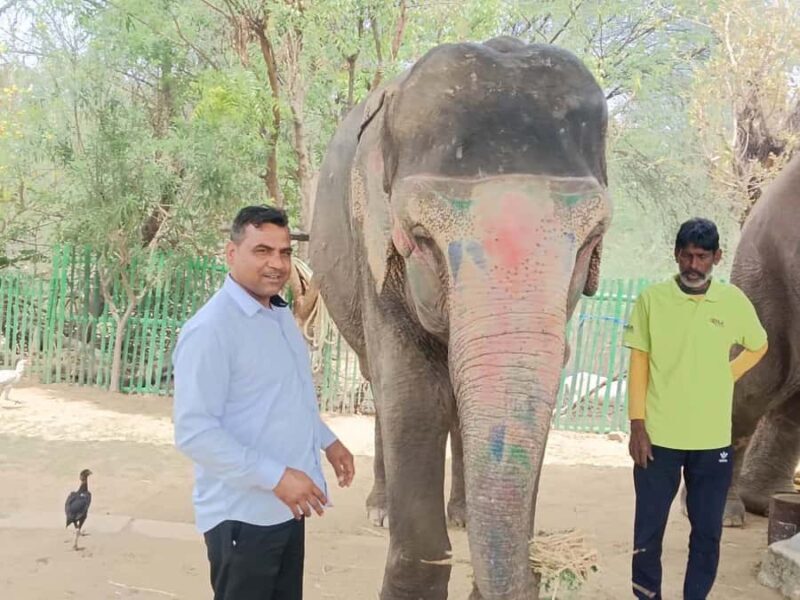 Delhi : Private Taj Mahal with Elephant Sanctuary Tours - The Journey from Delhi to Agra: Comfort and Convenience