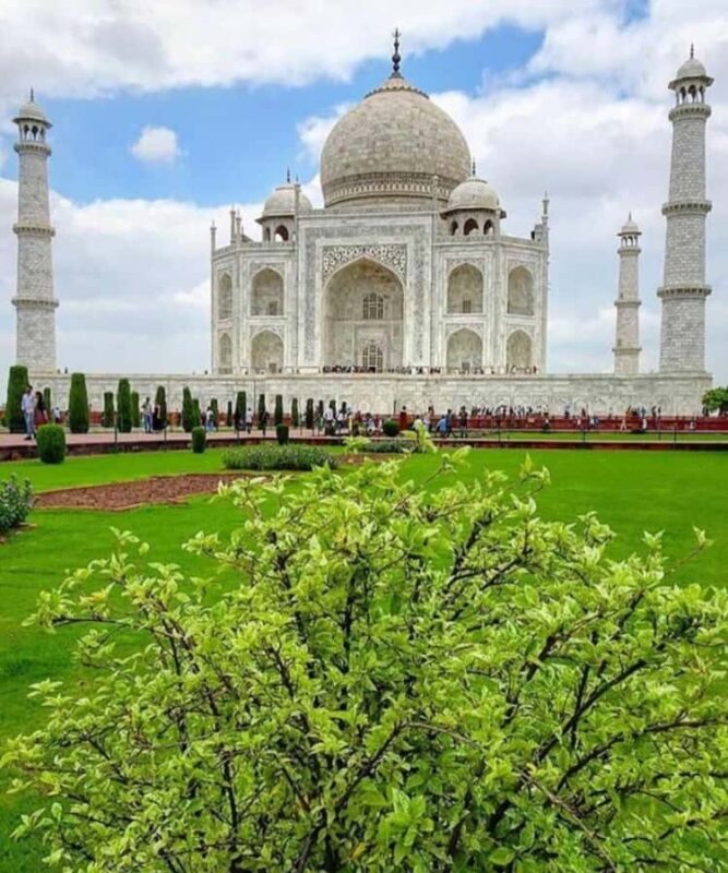 Delhi : Private Taj Mahal with Elephant Sanctuary Tours - The Elephant Sanctuary: A Heartfelt Encounter