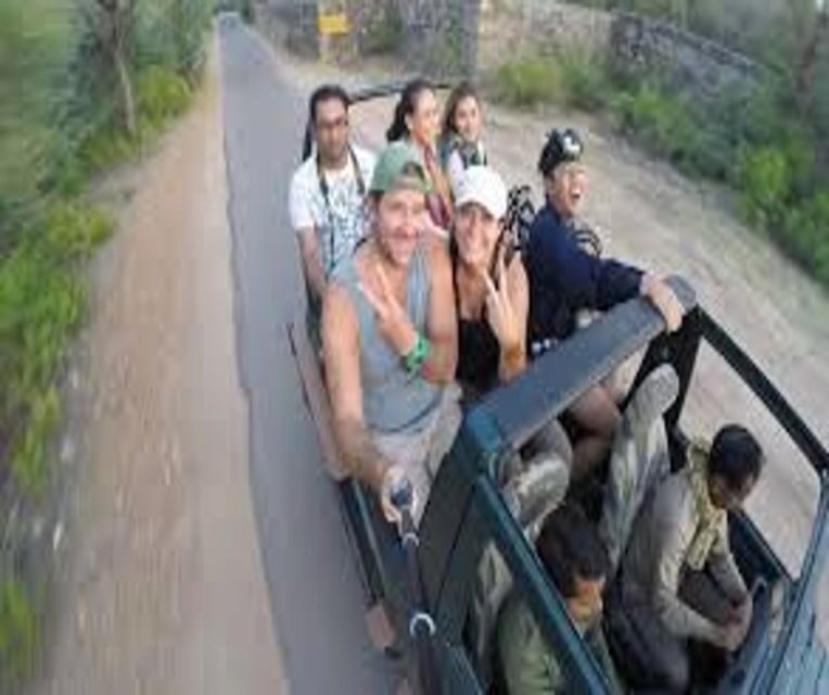 Delhi: Ranthambore National Park 3-Day Trip w/ Tiger Safari - Day 3: Departure and Reflection