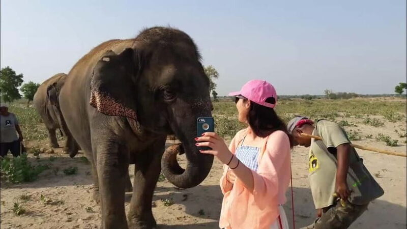 Delhi: Same Day Taj Mahal with Elephant SOS by Express Train - Key Points