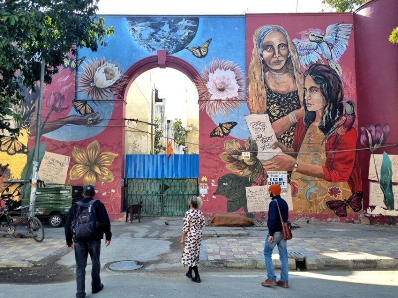 Delhi Street Art Tour: Explore the Murals & Visit a Stepwell - Who Will Love This Tour?