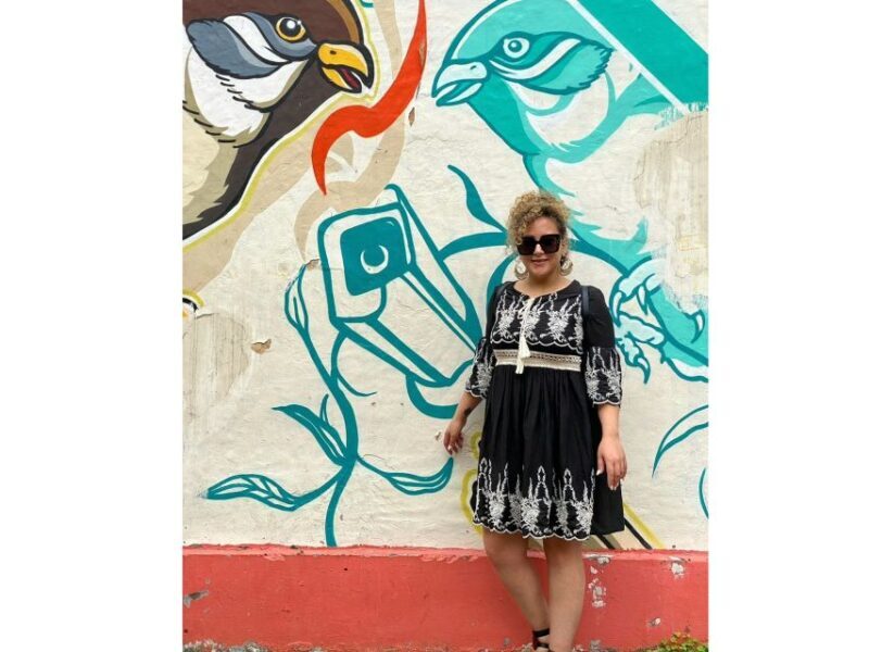 Delhi Street Art Tour: Explore the Murals & Visit a Stepwell - The Sum Up
