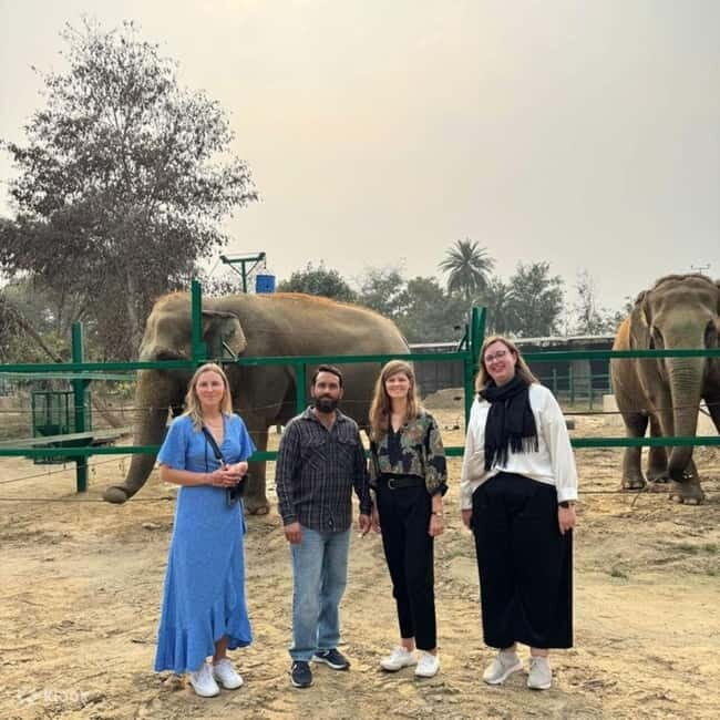 Delhi: Sunrise Taj Mahal & Elephant SOS Tour with Transfers - Final Thoughts: Is This Tour Right for You?