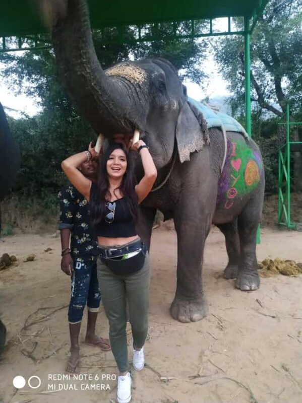 Delhi: Taj Mahal Sunrise Tour with Elephant Conservation - The Experience in Detail: Breaking Down the Day