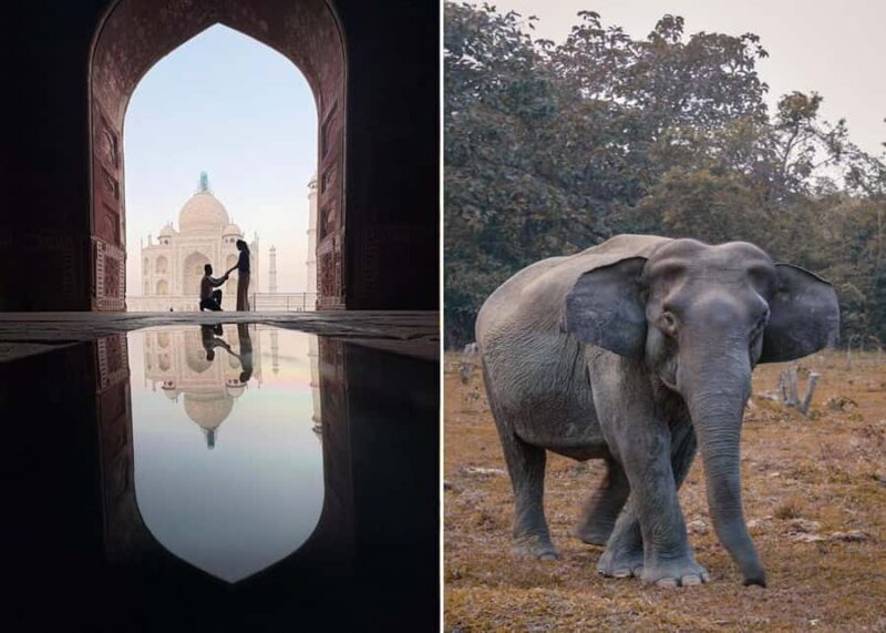 Delhi : Taj Mahal Sunrise Tour with Elephant SOS Center - An In-Depth Look at the Tour