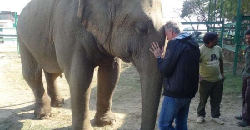 Delhi: Taj Mahal & Wildlife SOS Elephant/Bear Sanctuary Tour - Key Points