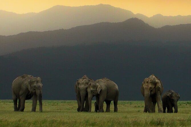 Delhi to Corbett Tiger Reserve - Exploring the Itinerary