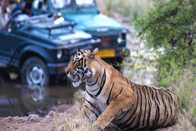 Delhi to Jaipur: Golden Triangle Private Luxury Tour for 4 Days - The Cost and Value