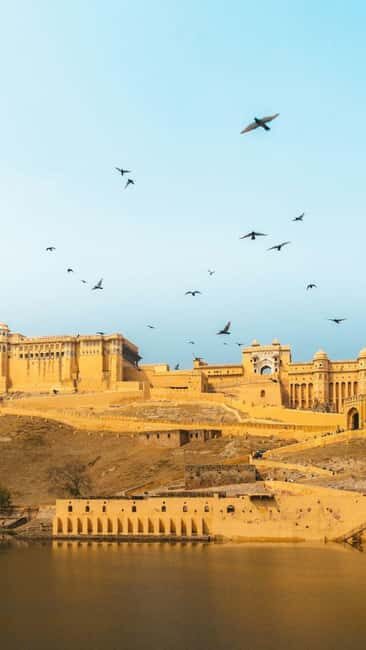 Delhi to Jaipur: Private Full-Day Guided City Highlights - FAQ