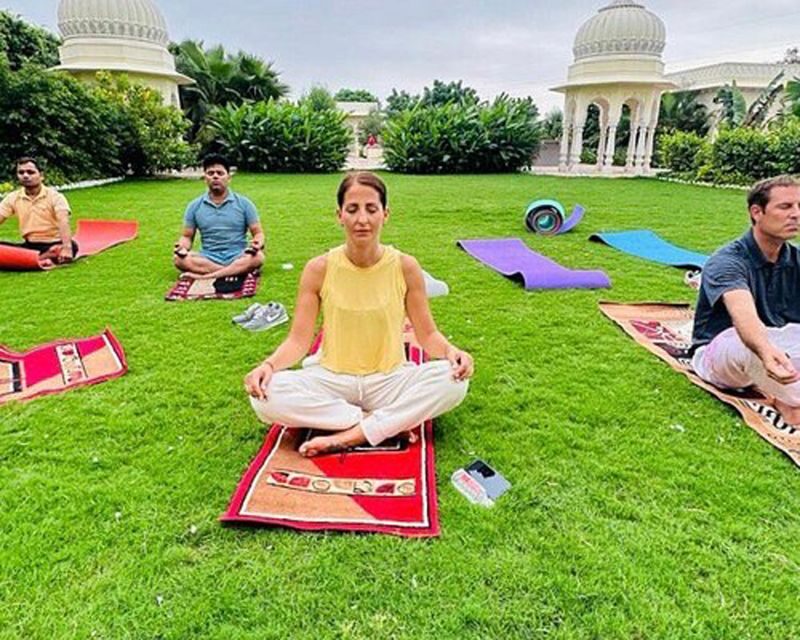 Delhi: Traditional Indian Yoga Experience - Is This Tour Right for You?