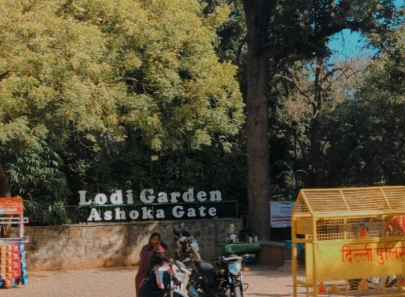 Delhi: Yoga in Lodhi Garden - The Sum Up: Is This Yoga Tour Worth It?