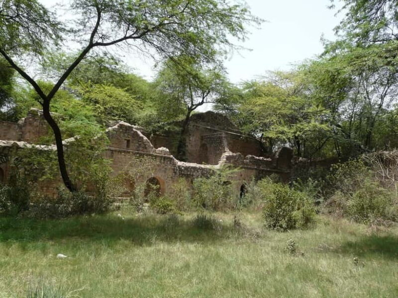Delhi's Rustic Sites tour & Skip the tourist traps - A Practical and Insightful Exploration of Delhi’s Lesser-Known Corners
