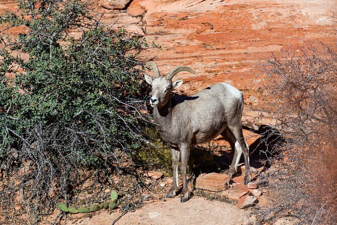 Delicate Arch Trail Self-Guided Audio Walking Tour - Practical Details: What You Need to Know