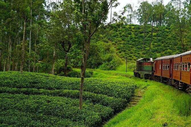 Delights of Sri Lanka - Who Is This Tour Best Suited For?