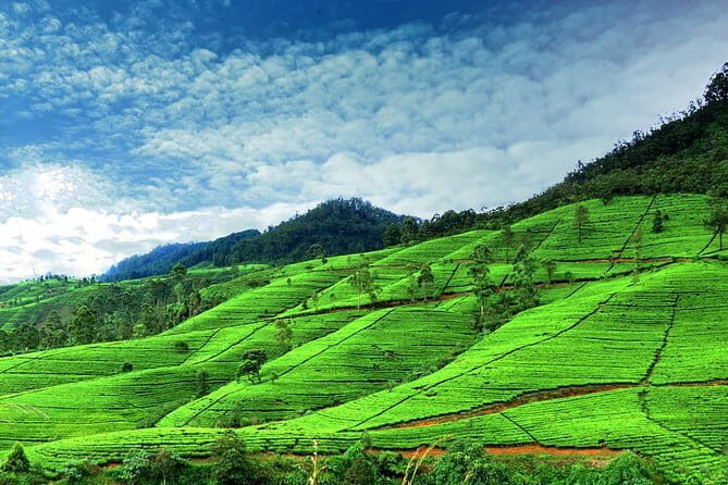 Delights of Sri Lanka - Final Thoughts