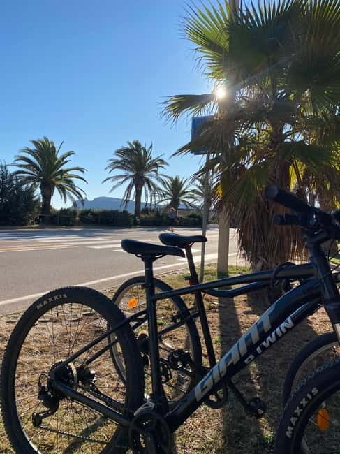 Delivery bike for 6hours Castello/Molentargius/Poetto/Quartu - A Practical Guide to the Delivery Bike Experience in Sardinia