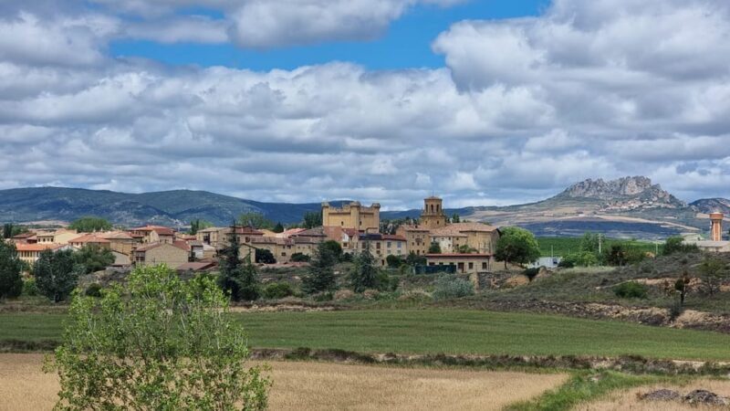 Delivery Bike Rental and Guided Tours in La Rioja - The Sum Up