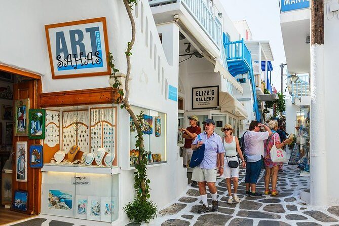Delos and Mykonos One Day Cruise from Naxos - The Itinerary in Detail