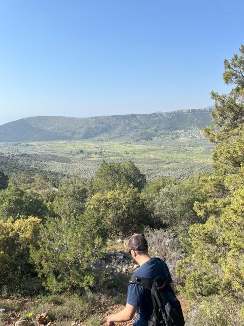 Delphi: Easy Hike from the Monastery to the Mycenaean tomb - Key Points