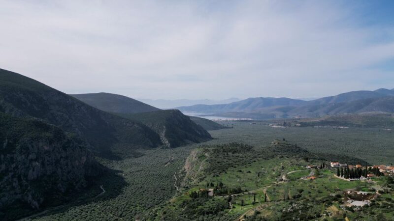 Delphi: Easy Hike on Ancient Path through the Olive Groves - Who Should Consider This Tour?