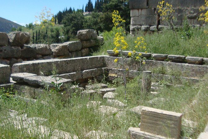 Delphi Self-guided Audio Tour on Your Phone (no ticket) - Who Should Consider This Tour?