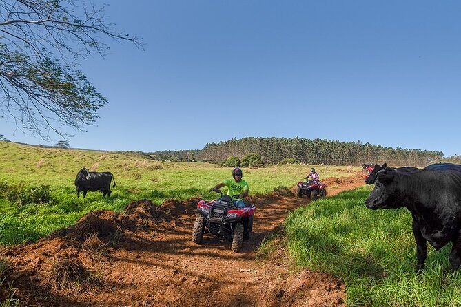 Deluxe ATV Waterfall and Swim Experience - An Adventure That Touches All the Senses