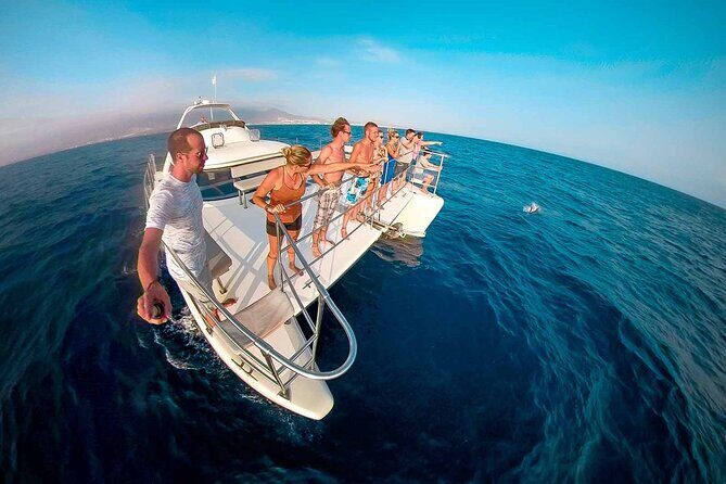 Deluxe Catamaran to Isla Mujeres with Open Bar from Cancun - The Experience: What the Tour Offers