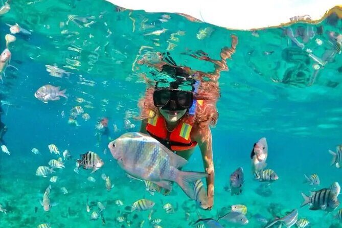 Deluxe Catamaran to Isla Mujeres with Open Bar from Cancun - The Sum Up: Who Should Consider This Tour