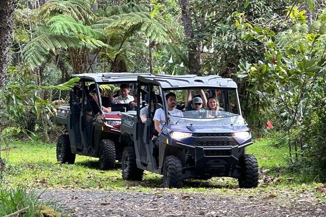 Deluxe Coffee Culture Tour from Berry to Brew in 60 Minutes - A Fun and Flavorful Spin on Coffee Education