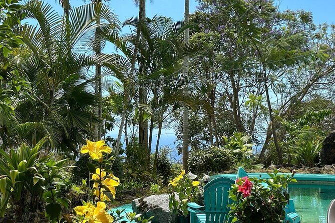 Deluxe Coffee Culture Tour from Berry to Brew in 60 Minutes - Key Points