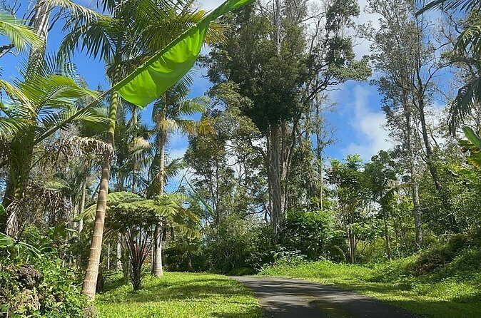 Deluxe Coffee Culture Tour from Berry to Brew in 60 Minutes - Who Will Enjoy This Tour?