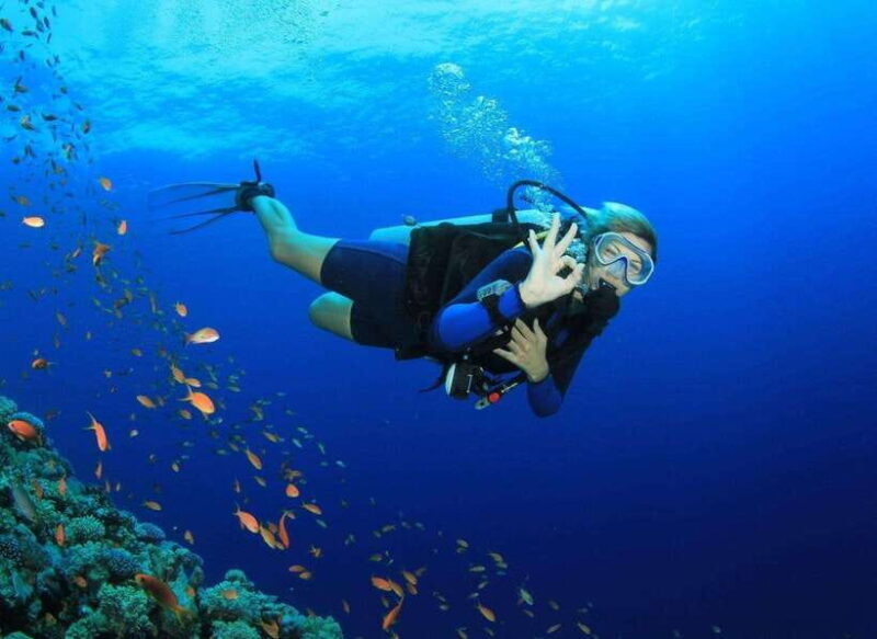 Deluxe Daily Tour-Snorkeling & BBQ & Mud Bath from Nha Trang - Key Points