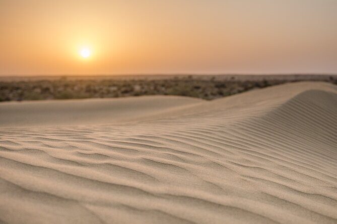 Deluxe Desert Experience & Cultural Night - An In-Depth Look at the Experience