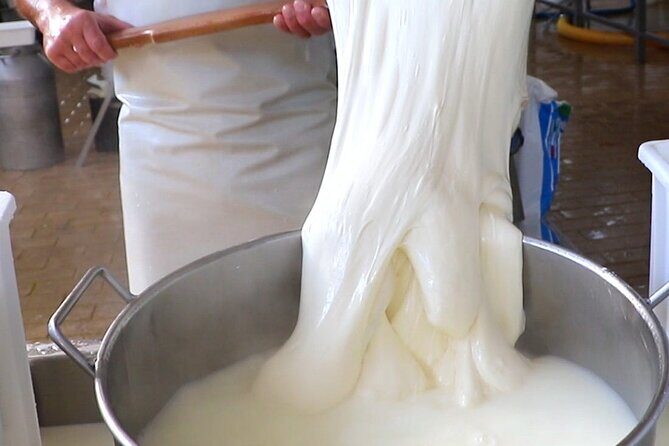 Deluxe Experience: Mozzarella, Oil and Wine Tasting on the Amalfi Coast - Key Points