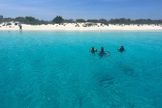 Deluxe Full Day Private Charter Adventure in Bonaire - Final Thoughts